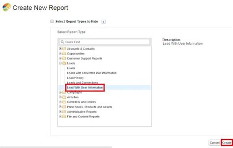 Lead With Inactive Owners Report In Salesforce Infallibletechie