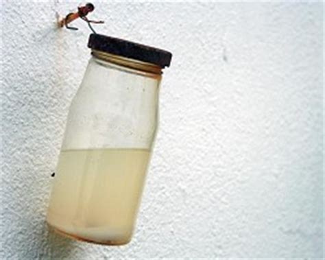Shark Oil Hurricanes | USC Digital Folklore Archives