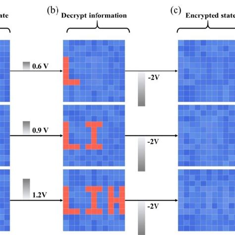 figure s4 a the image on the encrypted state b diverse images can