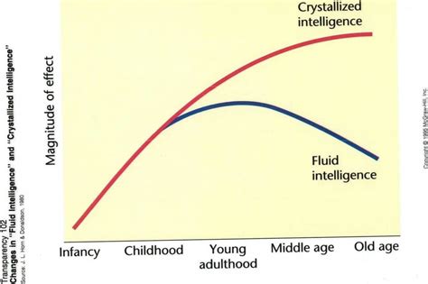 The Difference Between Fluid Intelligence And Crystallized Intelligence