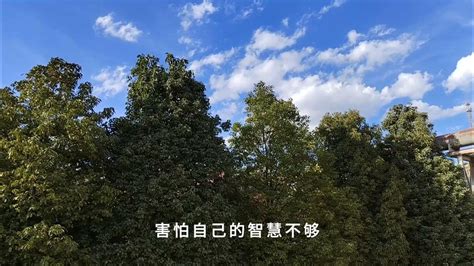 勇于尝试，敢于试错。 Youtube