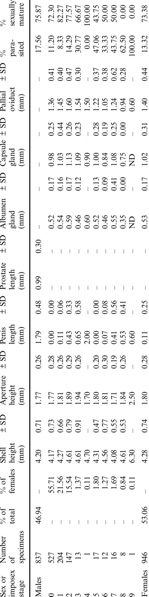 Hydrobia Ulvae Morphometrical Data Of Males Females And Different Download Table