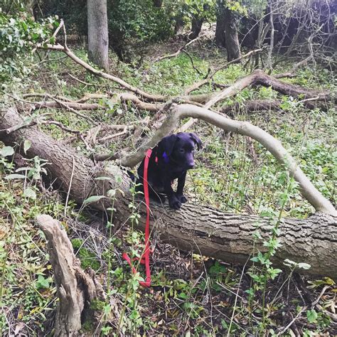 Recycled Carpentry Added A New Photo Recycled Carpentry