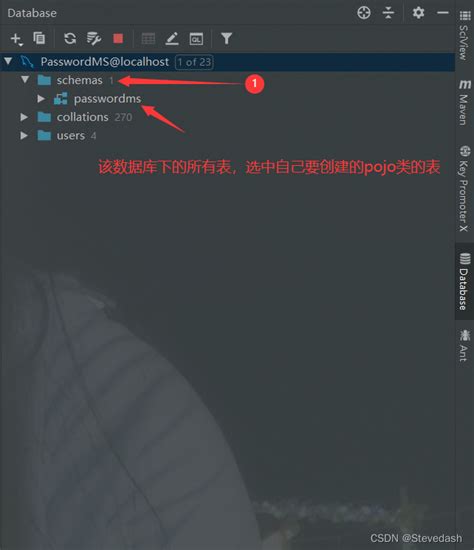 如何使用idea链接数据库并自动生成pojo类？idea Pojo包怎么创建 Csdn博客