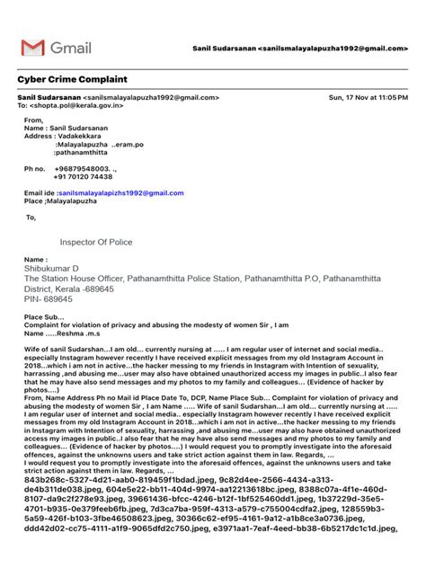 Cyber Crime Complaint 2 Pdf Cybercrime Crimes