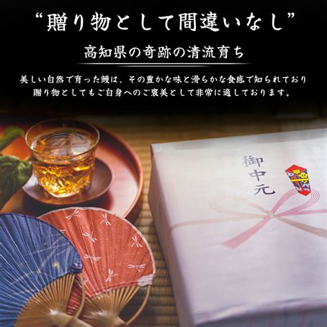 【楽天市場】【送料無料お一人様2箱まで】 高知県産 清流うなぎ 蒲焼き 冷凍 1~3尾 約160~480g 1~6人前 長