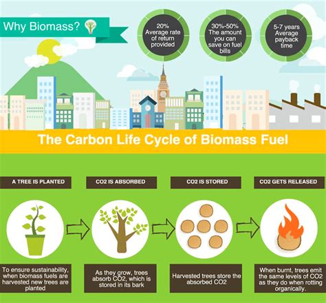 Biomass Boilers Everything You Need To Know Greenmatch