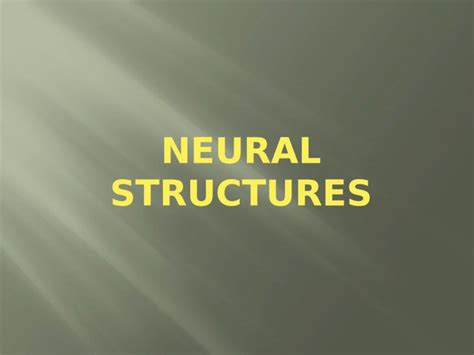 Pptx Be Familiar With The Anatomy And Function Of The Neural