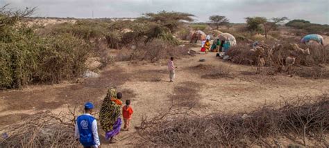Un Migration Agency Launches 246 Million Appeal For Drought Hit