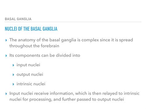 Deep Brain Structures Ppt