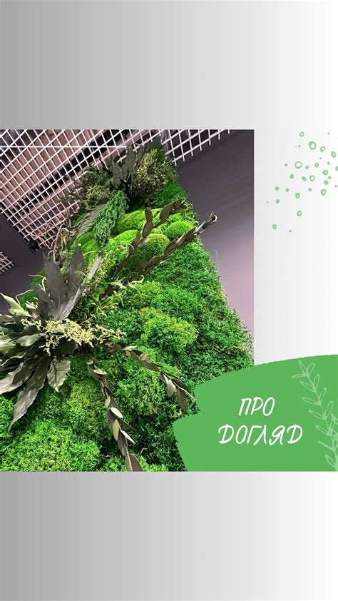 ОЗЕЛЕНЕННЯ 🌱МОХ🌱РОСЛИНИ🌱ФІТОСТІНИ🌱КИЇВ «Хто ми 🧐 Історія початку та розвитку💪 ⠀ «Якщо ви