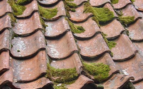 The Ultimate Roof Replacement Guide Tips Tricks And Costs America