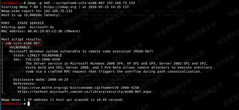 CVE MS Windows远程溢出漏洞 Wiki