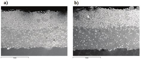 Sem Micrograph Of Nicr Wc Graded Coatings Outer Layer With 60 Wt