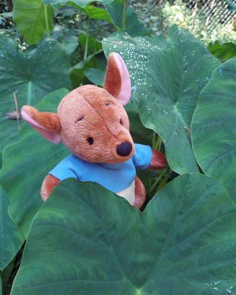 Bumblebee Tree On Tumblr