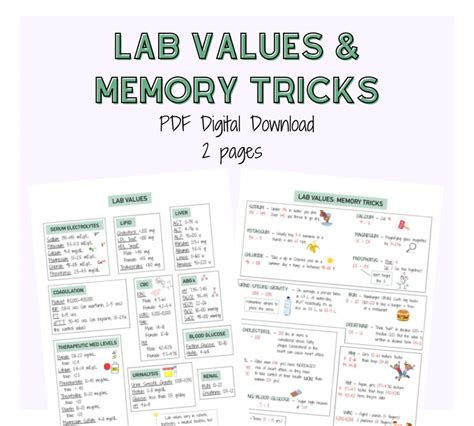 Lab Values Memory Tricks Fundamental Nursing Notes NCLEX Etsy