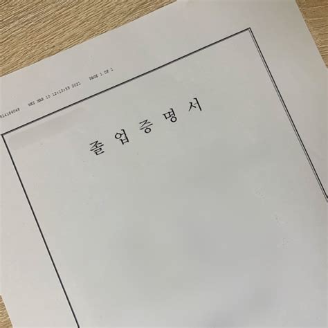영양사 면허증 발급하기발급방법 서류 5가지면허증 사진 변경 네이버 블로그