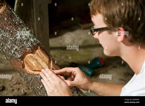 Tree Carving Heart Hi Res Stock Photography And Images Alamy