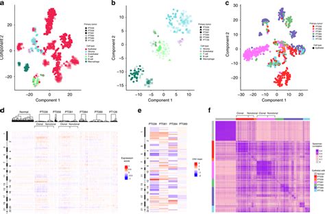 Clustering Genomic Cnvs And Correlation Maps Classify Most Epithelial