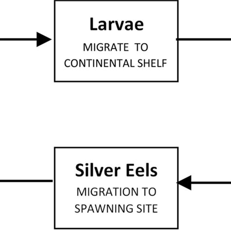 The Frequency Densities Of Environmental Stress Levels In Relation To