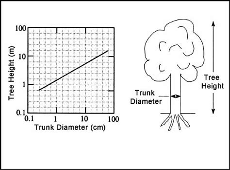 Fossil Lab Brooklyn College Geology