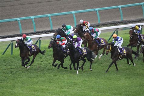 皐月賞 2019【予想枠順確定】勝ちたい方は必読！主役になるのは「あの脚質」！サートゥルナーリアら解説など 競馬予想のキングスポーツ