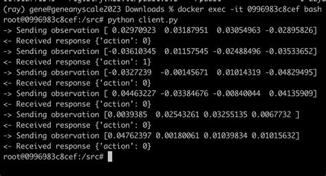 Running Serve Inside Deployment Docker Container Gives Grpcunavailable