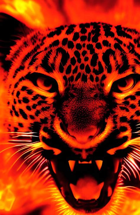 Fire Leopard By Bukoslav On Deviantart