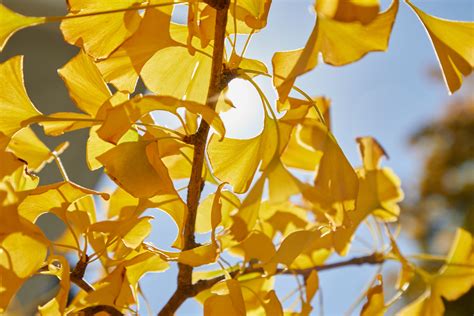 Lilly Endowment Inc Awards 3 75 Million Matching Grant To Community