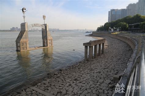 持续高温 长江南京段水位连降露出河床