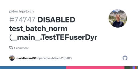 Disabled Test Batch Norm Main Testtefuserdynamic Issue Pytorch Pytorch Github
