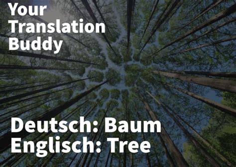 Help You As A German Virtual Assistant Translater And Proofreader By