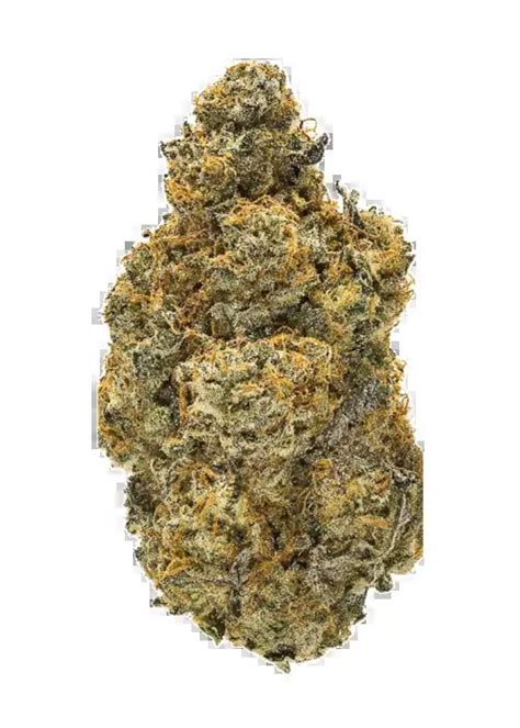 Gas Candy Cannabis Strain Information Growdiaries