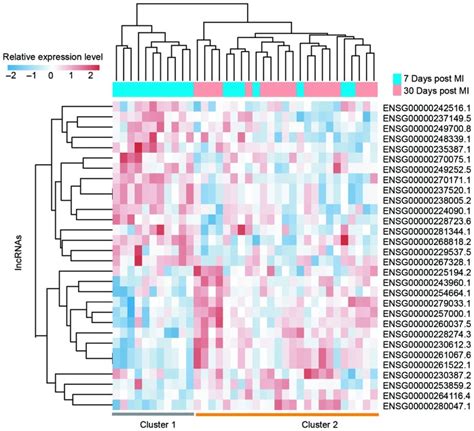 analysis of long non coding rna expression profiles identifies