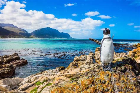 24 Of The Most Beautiful Places To Visit In South Africa Boutique