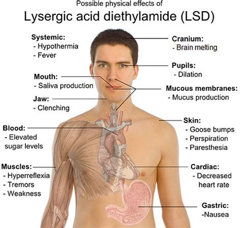 Lsd Effects Physical Psychological Sensory Spiritual