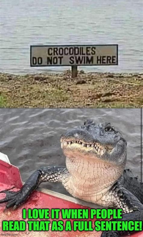Important Memes And S Imgflip