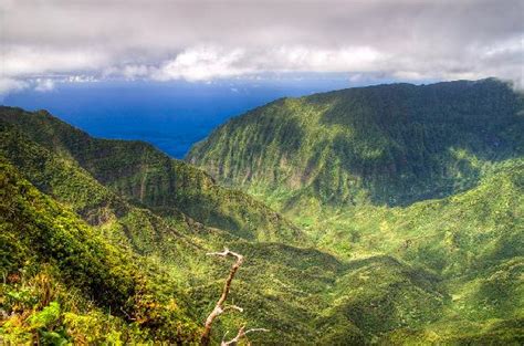 Kamakou Preserve Molokai Hi Address Reviews Tripadvisor