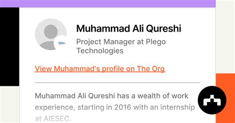 Muhammad Ali Qureshi Project Manager At Plego Technologies The Org