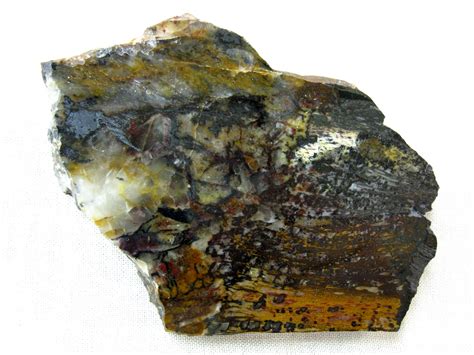 Minnesota Precambrian Stromatolite 21 Fossils For Sale