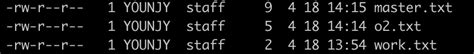 Git 브랜치2 브랜치 정보 확인 병합
