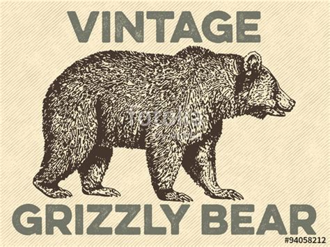 Grizzly Bear Vector At Getdrawings Free Download