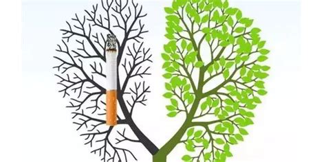 戒烟5a模式的五个步骤360新知