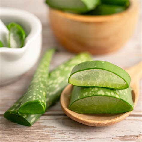 Aloe Vera Benefici E Utilizzi Per La Salute E La Bellezza