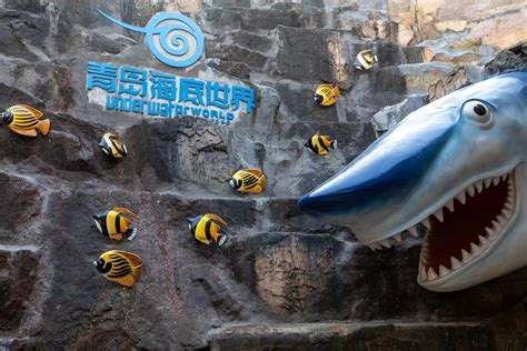 青岛奥帆海洋文化旅游区调研活动举办
