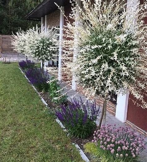 Какие цветы посадить чтобы цвели все лето 15 лучших вариантов Small Garden