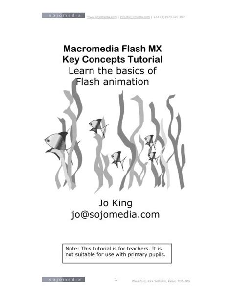 Macromedia Flash Mx Key Concepts Tutorial Learn Sojo Media