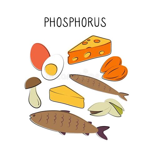 Phosphorus Containing Food Groups Of Healthy Products Containing