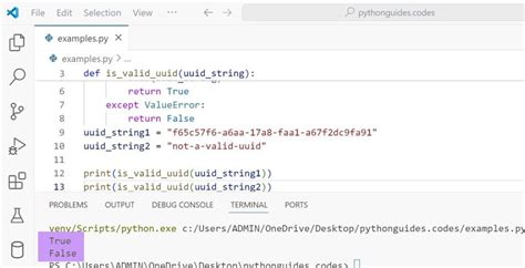 How To Check If A String Is A Valid Uuid In Python