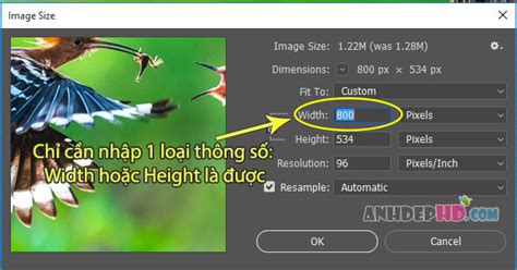 Cách Resize Thay đổi Kích Thước Hình ảnh Với Photoshop